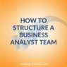 How to Structure a Business Analyst Team